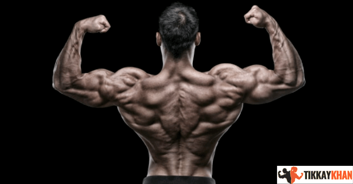 Best V Shape Exercises 2023 Tikkay Khan Best V Shape Exercises 2023 Tikkay Khan