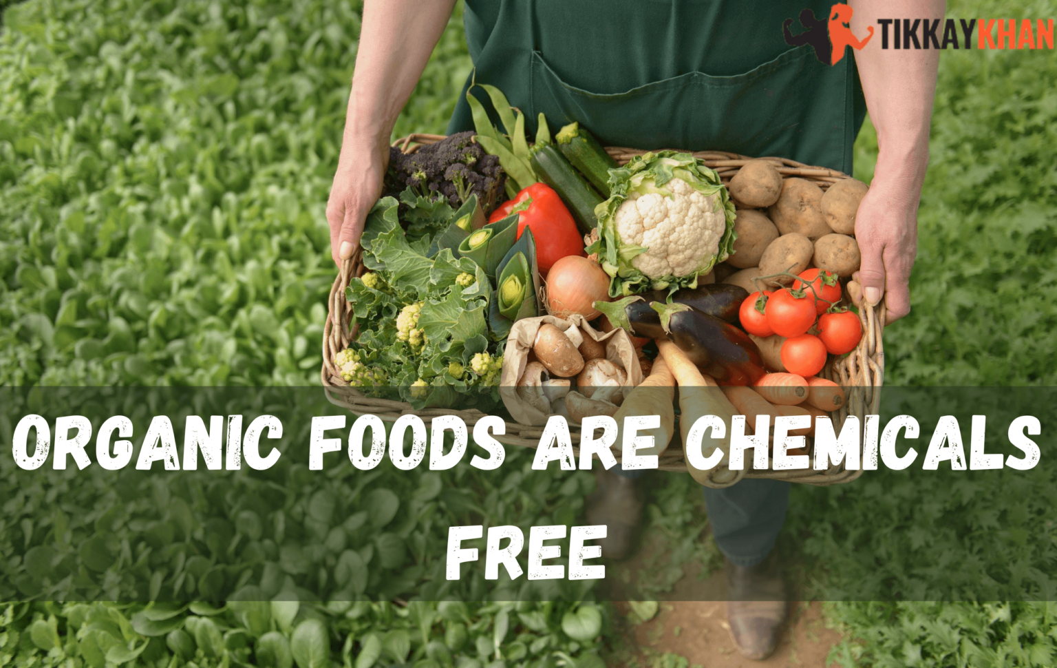 Top 5 Benefits of Organic Foods - Tikkay Khan