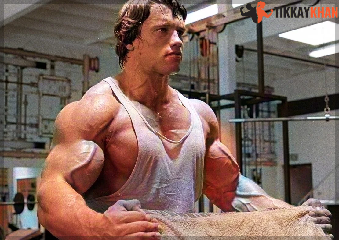 Chris Bumstead vs Arnold Schwarzenegger | Who is the Better Bodybuilder?