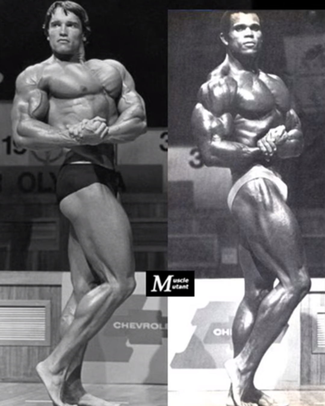 Arnold Schwarzenegger vs Serge Nubret: 1975 Mr. Olympia Results - Tikkay Khan