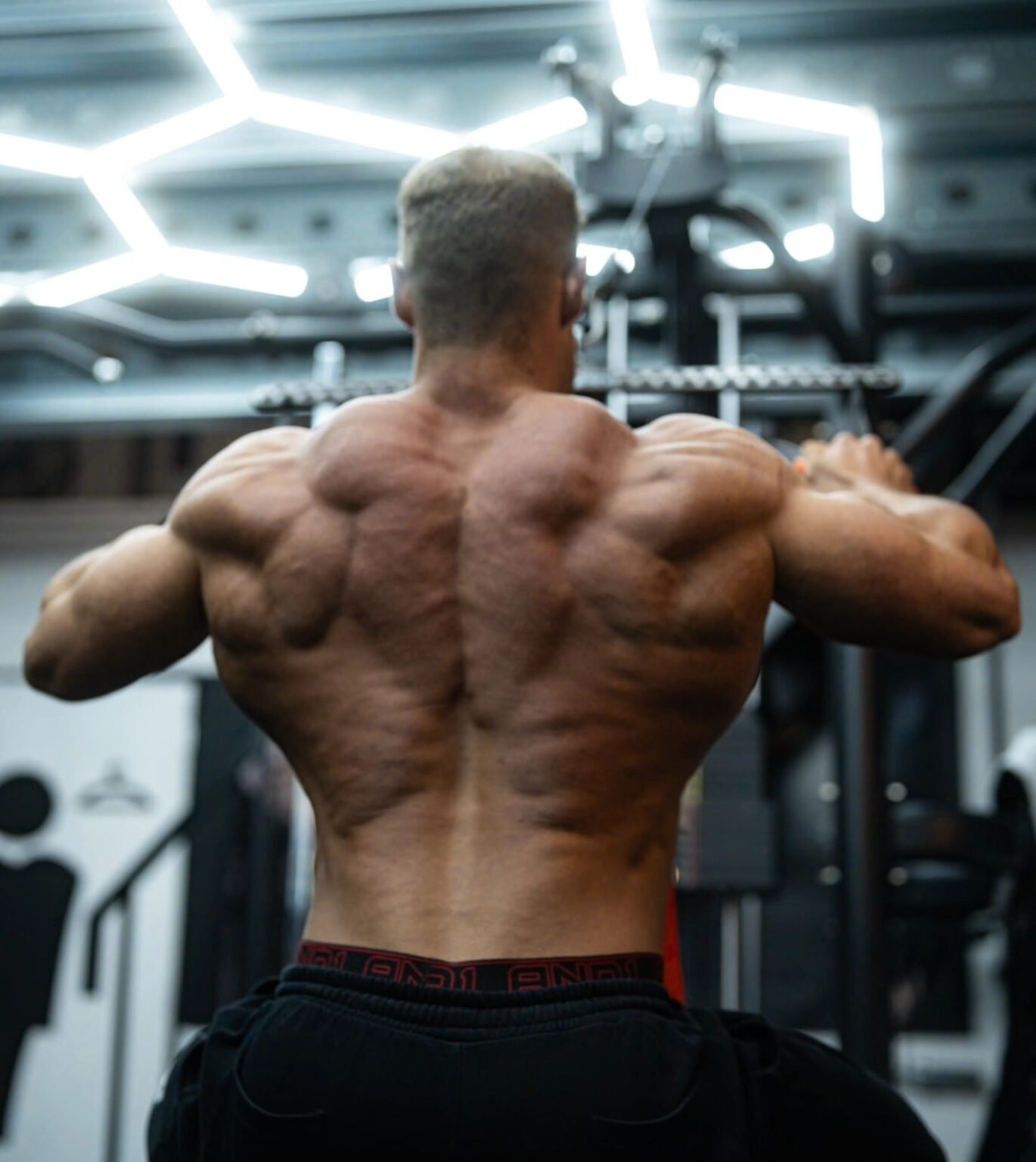 Wesley Vissers Shares 4 Exercises to Create Wide Lats and Back ...